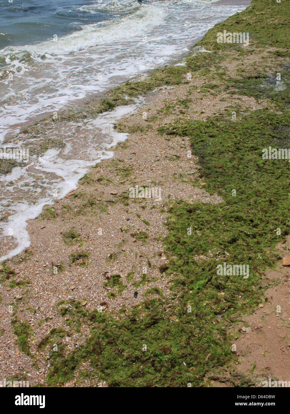 Green domains hi-res stock photography and images - Alamy