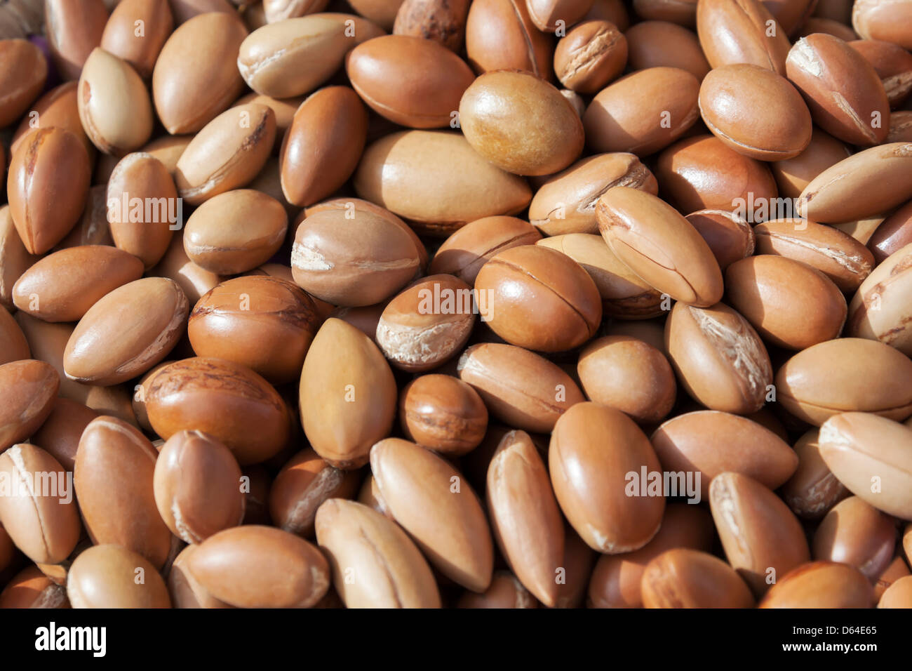 Nuts cultivation hi-res stock photography and images - Alamy