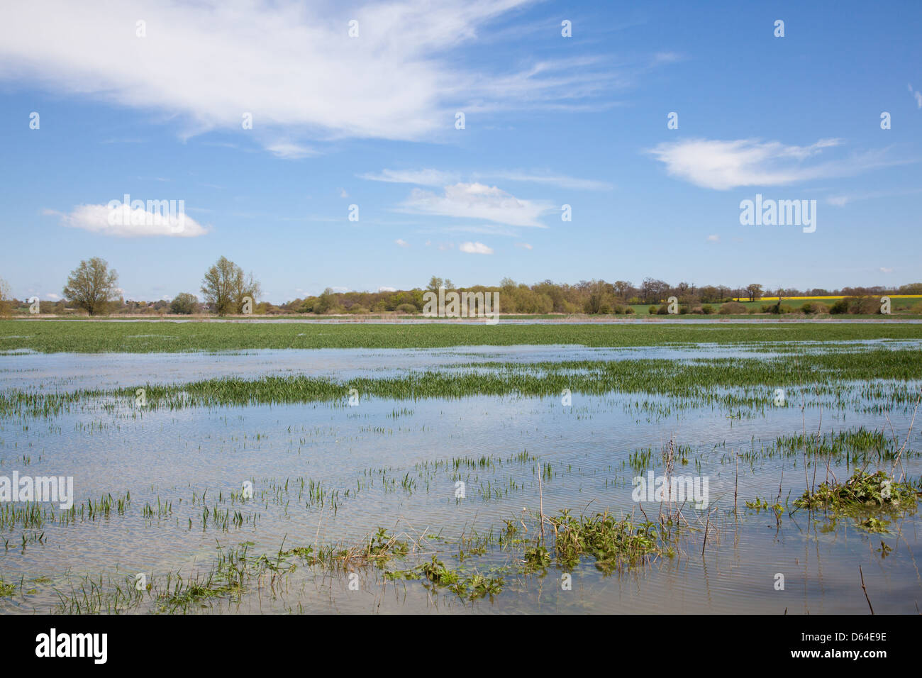 Crop damage flood hi-res stock photography and images - Alamy