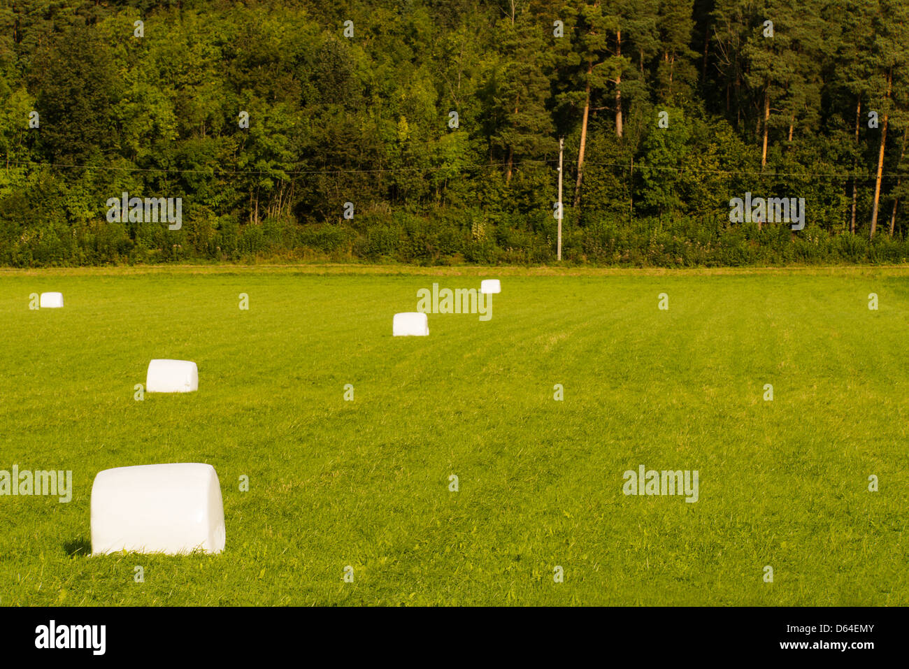 Silage bales in field hi-res stock photography and images - Alamy