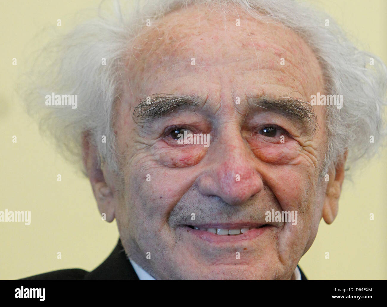 Survivor of the Holocaust, Max Mannheimer, is pictured before he ...