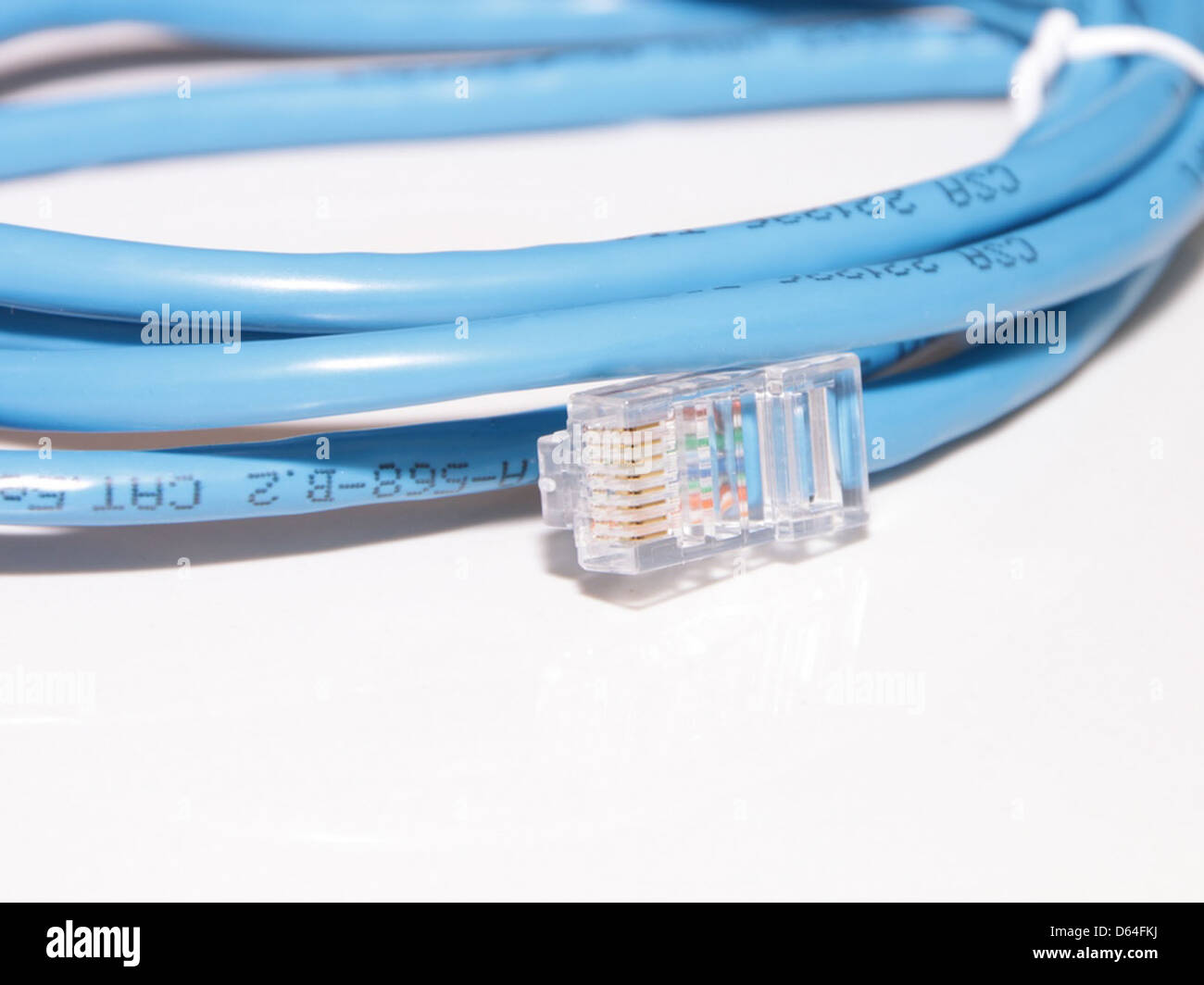 This image shows a blue UTP (Unshielded Twisted Pair) patch cable ...