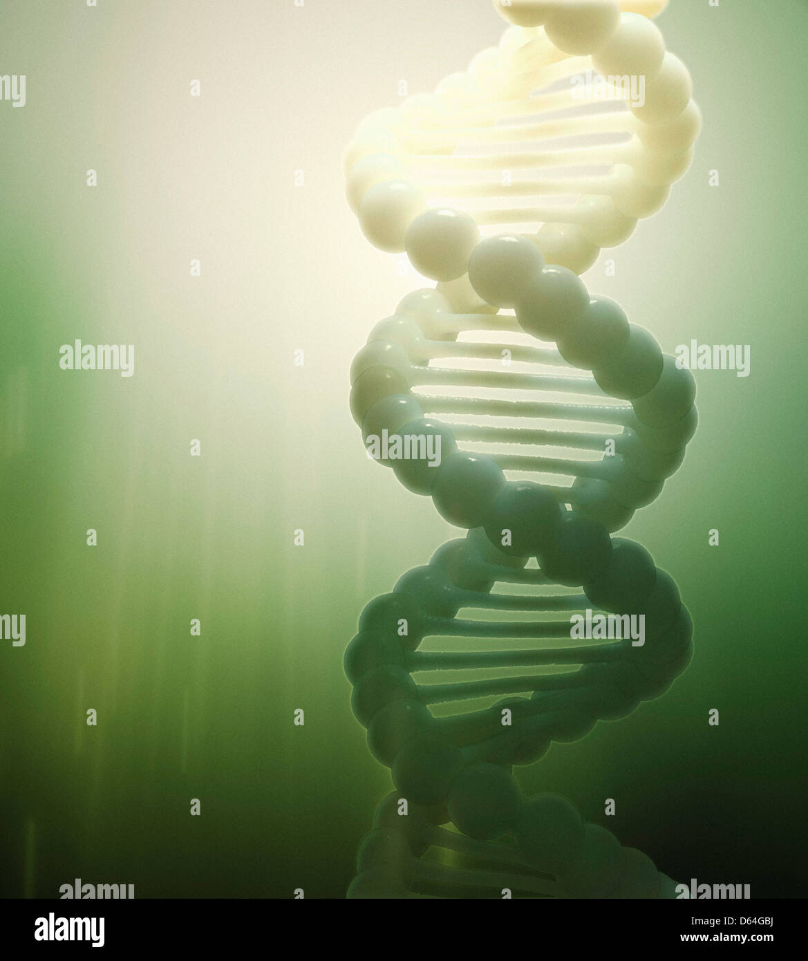 Dna Structure Model High Resolution Stock Photography and Images - Alamy