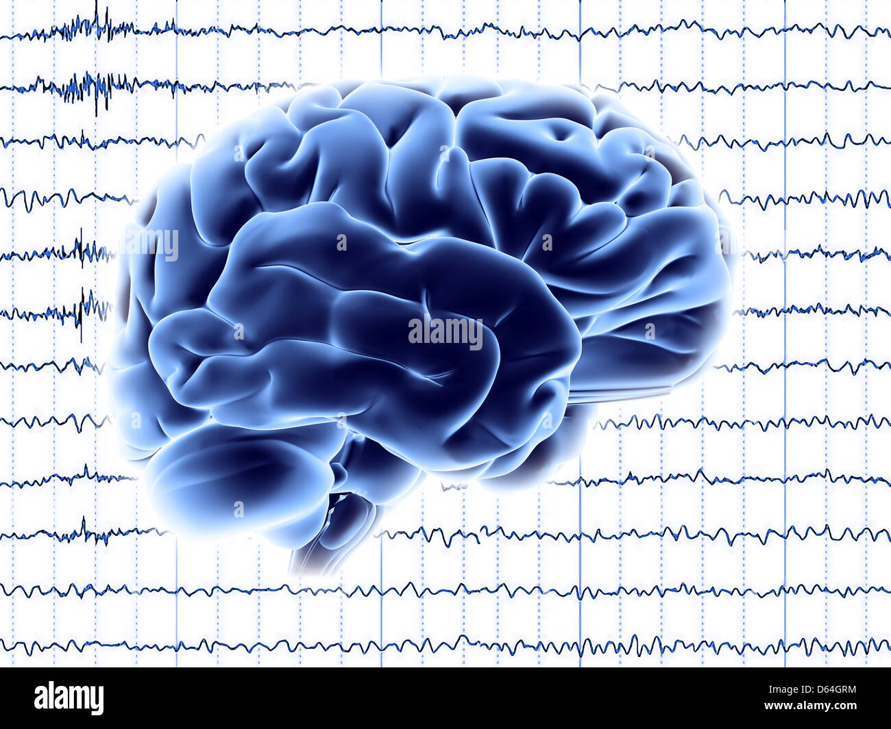 Brain activity, artwork Stock Photo - Alamy