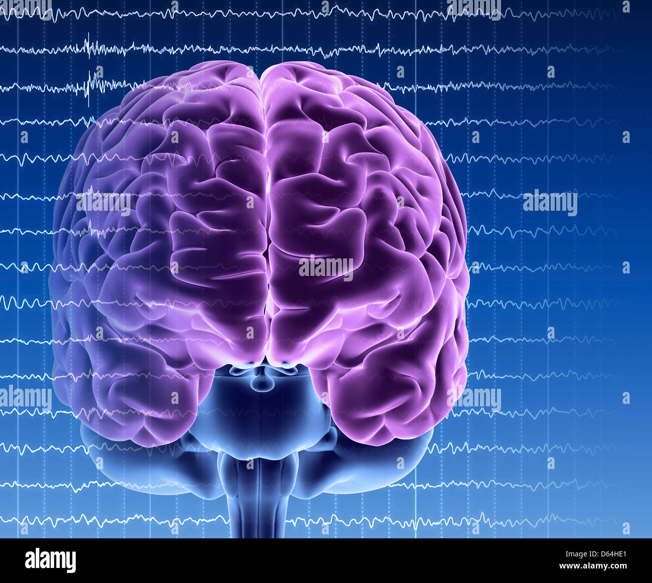 Brain activity, artwork Stock Photo - Alamy