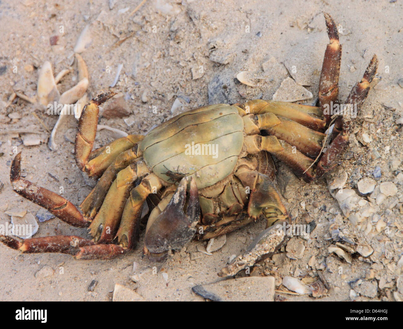 Public_domain hi-res stock photography and images - Alamy