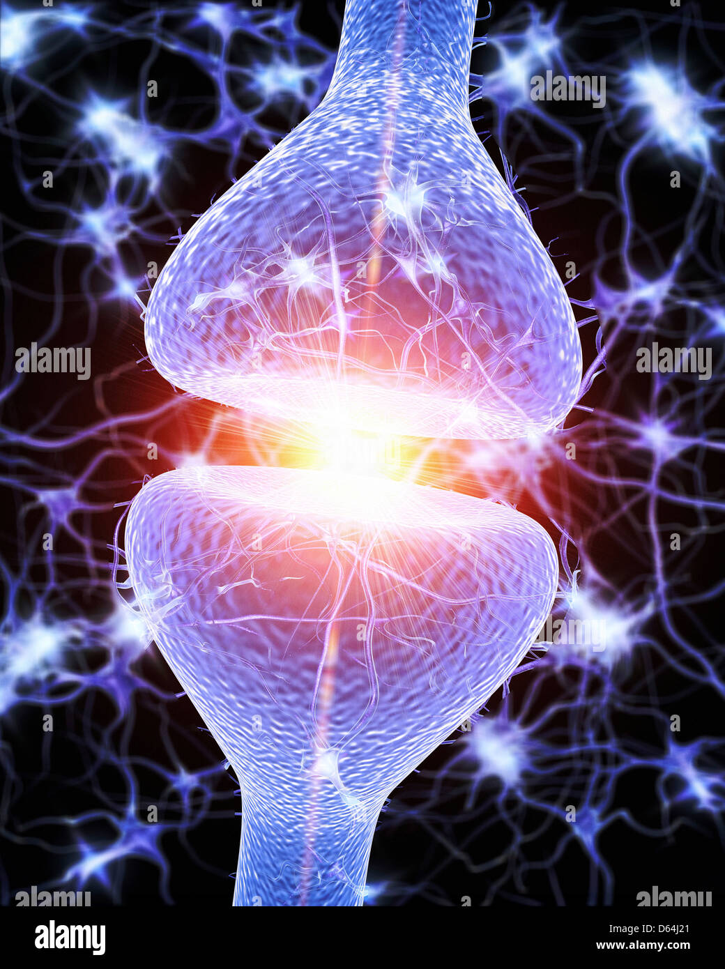 Nerve synapse, artwork Stock Photo - Alamy