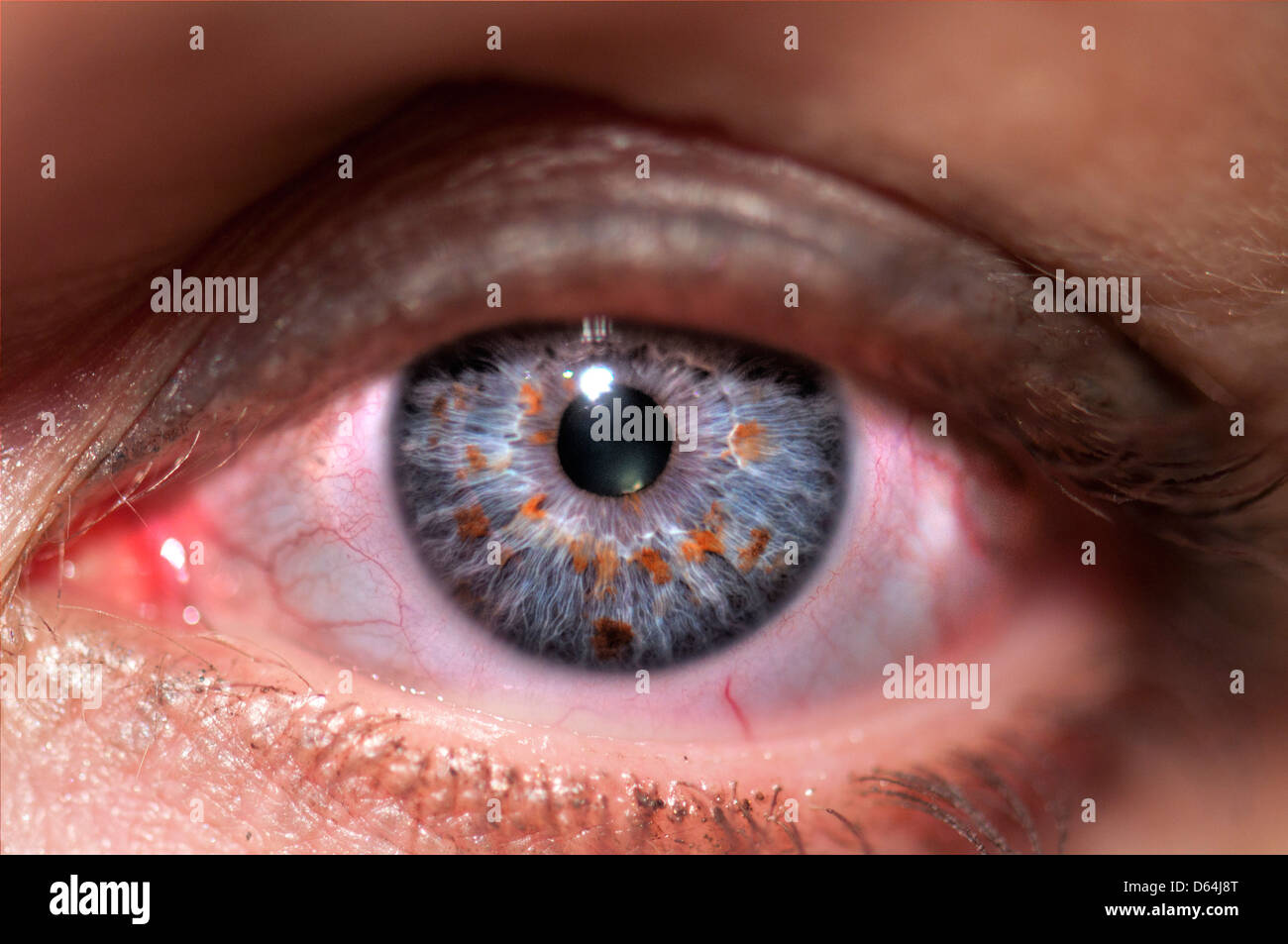 Human Eye And Reflection High Resolution Stock Photography and Images ...