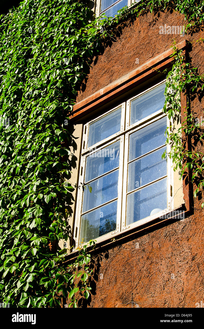 Large window panes hi-res stock photography and images - Alamy