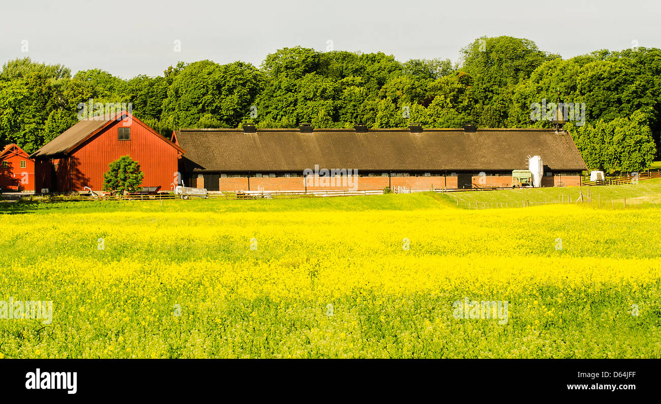 farm houses in Norway Stock Photo - Alamy