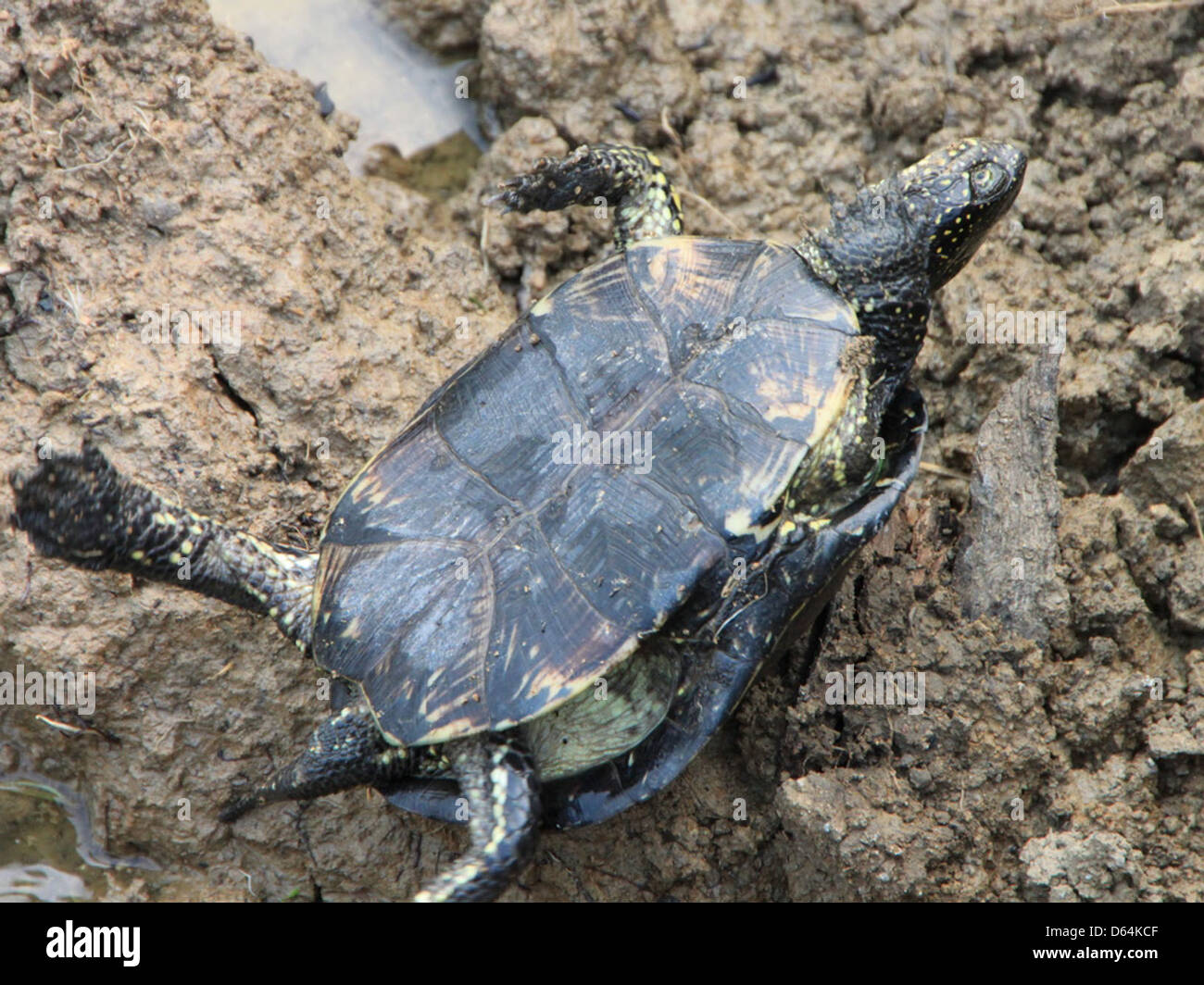 Public_domain hi-res stock photography and images - Alamy