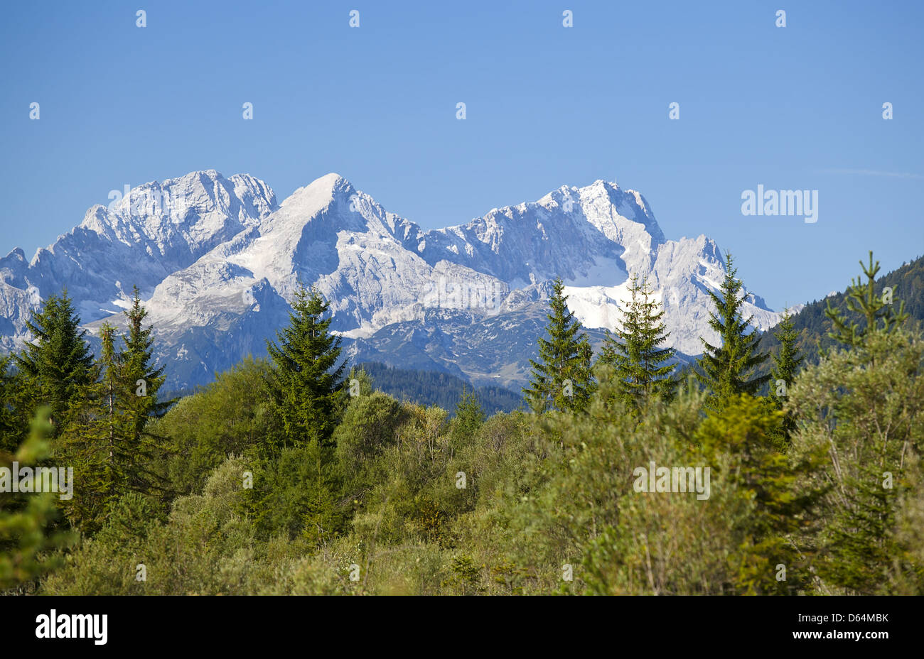 charming rocks and coniferous forest Stock Photo - Alamy