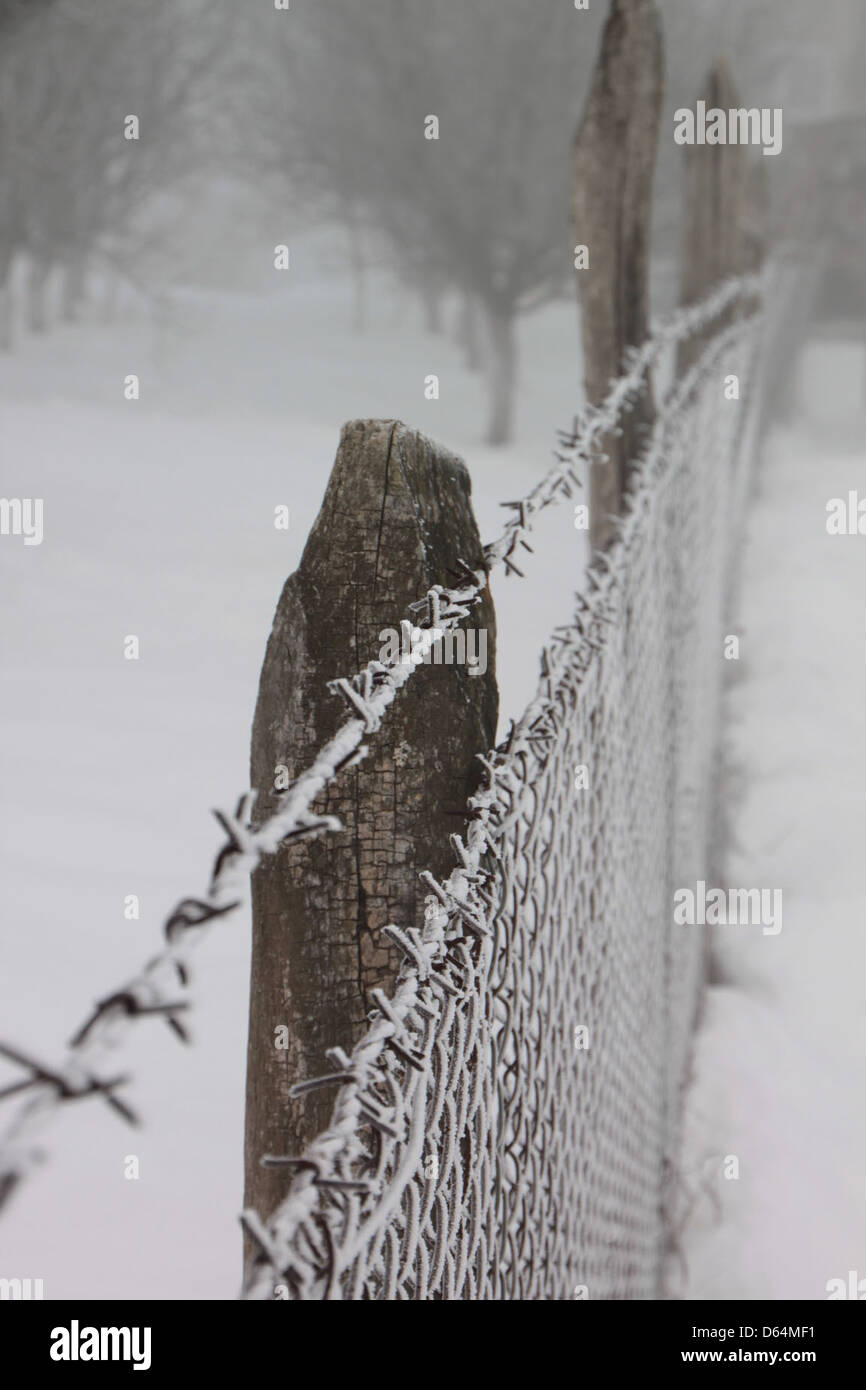 Frozen fence wire during winter, with ice crystals forming along the ...