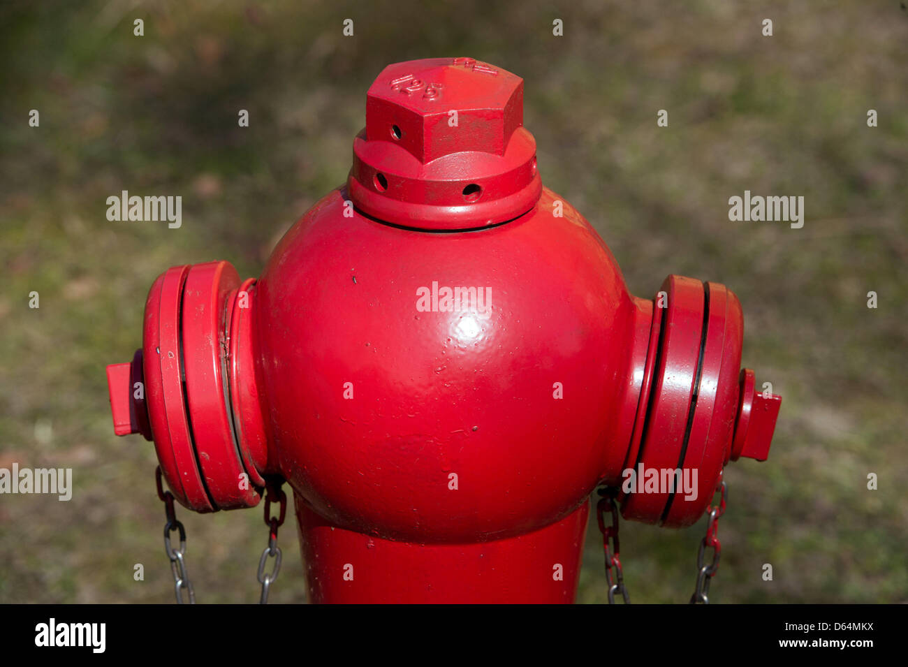 A red fire hydrant stands on a street in Stralsund, Germany, 8 April ...