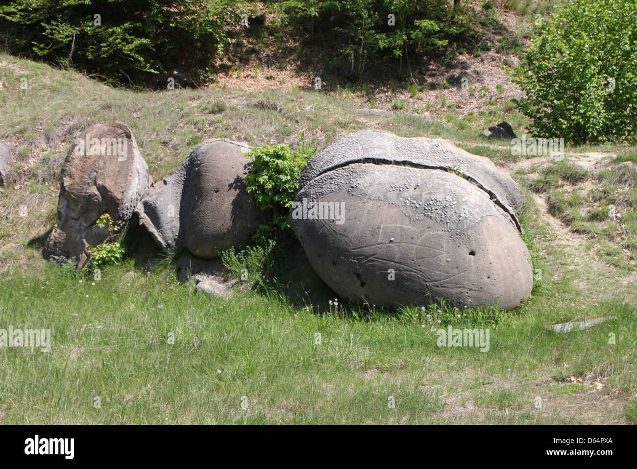 A display of Trovants at the Trovants Museum in Romania, showcasing ...