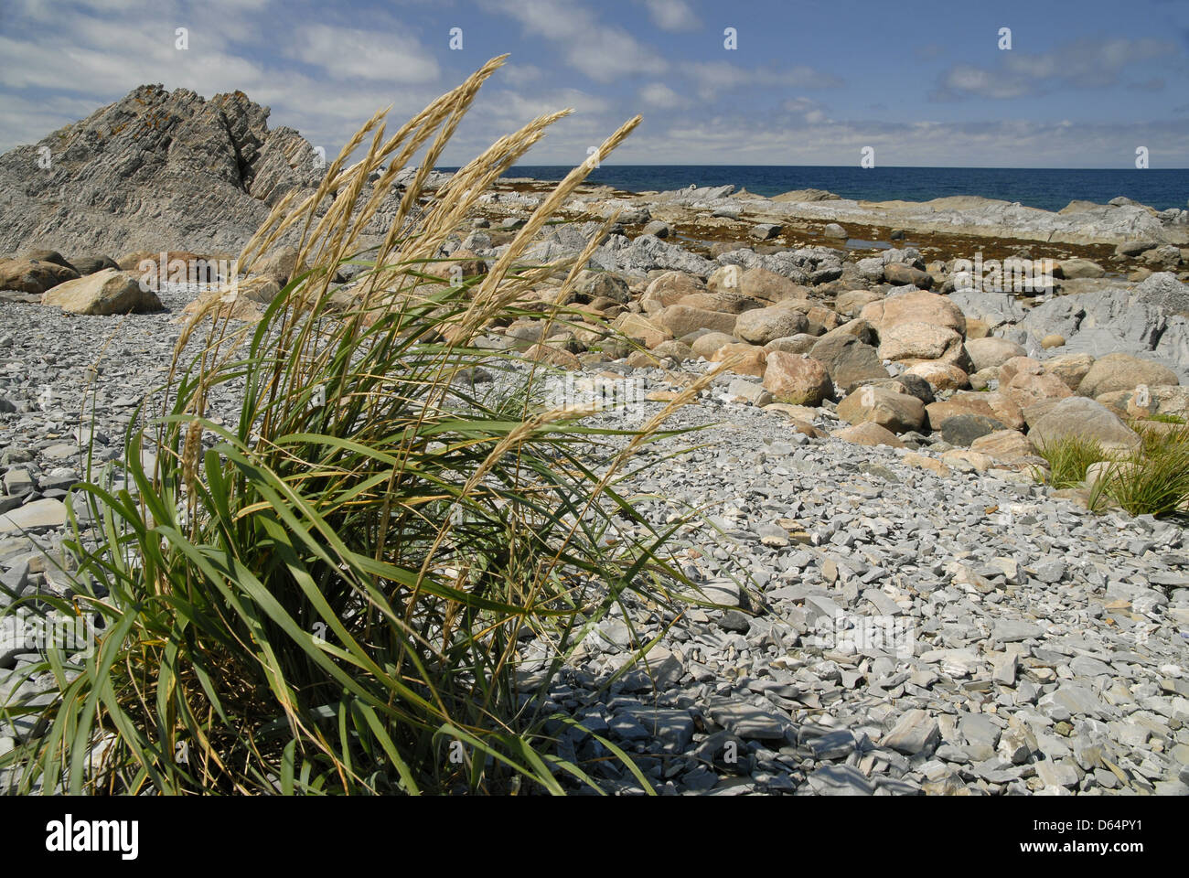 Newfoundland Beach High Resolution Stock Photography and Images - Alamy
