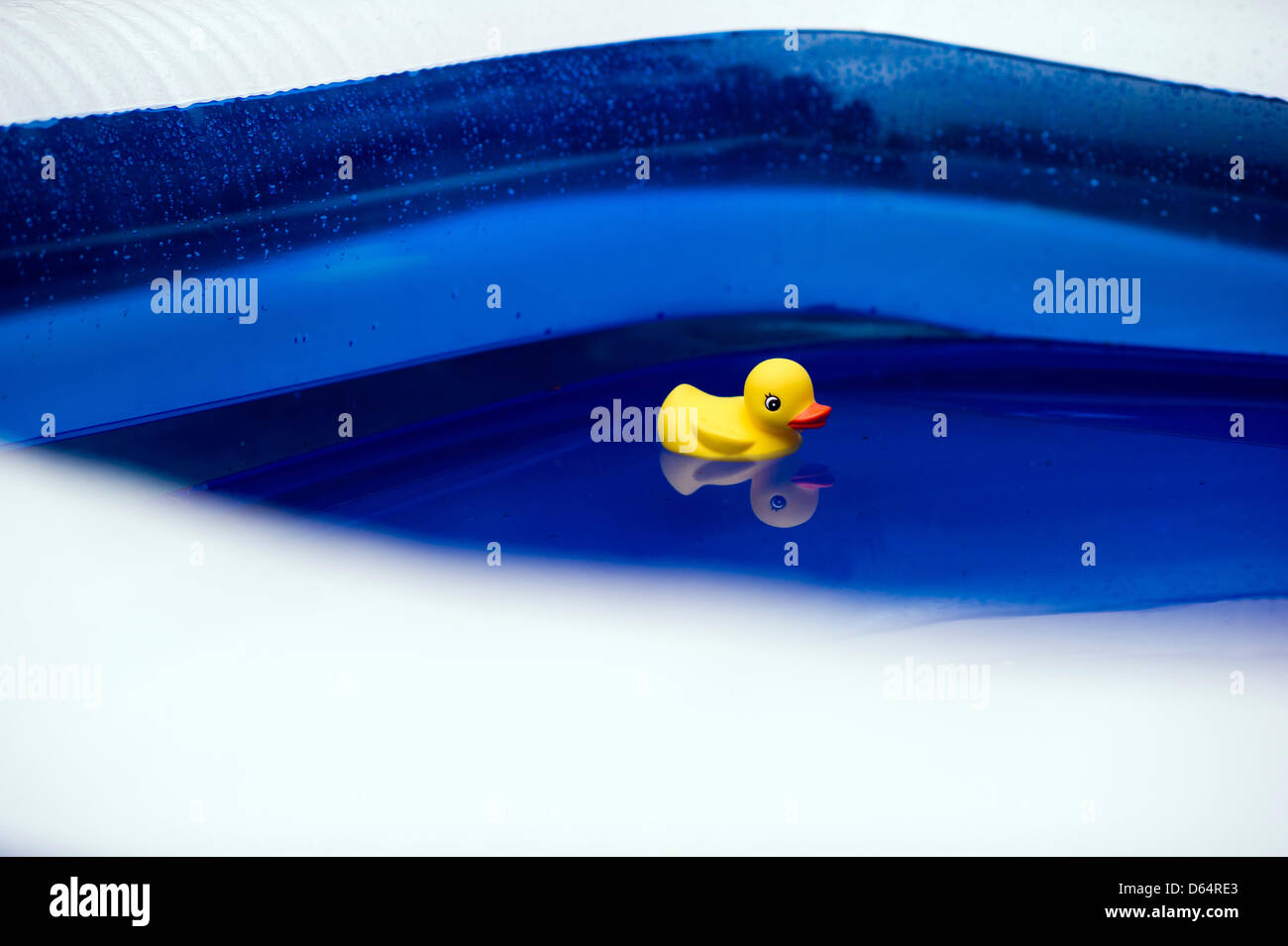 A yellow rubber duck floats on the water surface of an inflatable ...