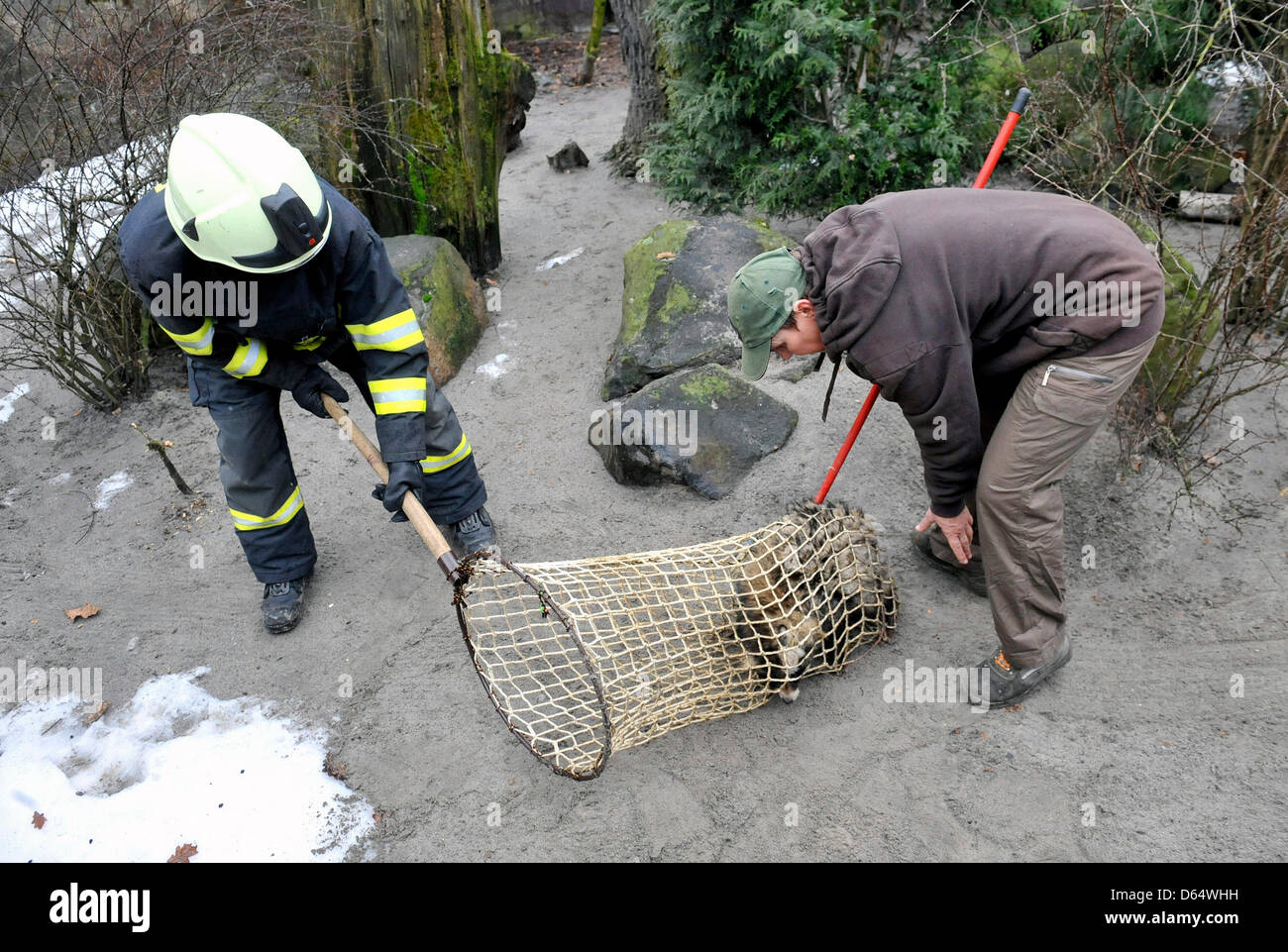 Trapping animals hi-res stock photography and images - Alamy