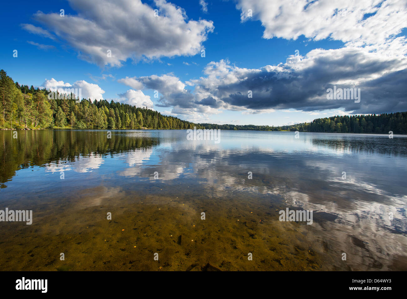Wild forrest lake sky clouds Stock Photo - Alamy