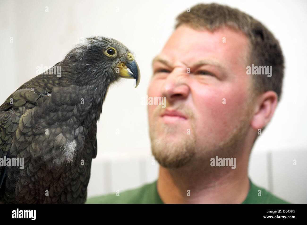 Parrot Nelson sits on the arm of his zoo keeper Sebastian Hiesener at ...