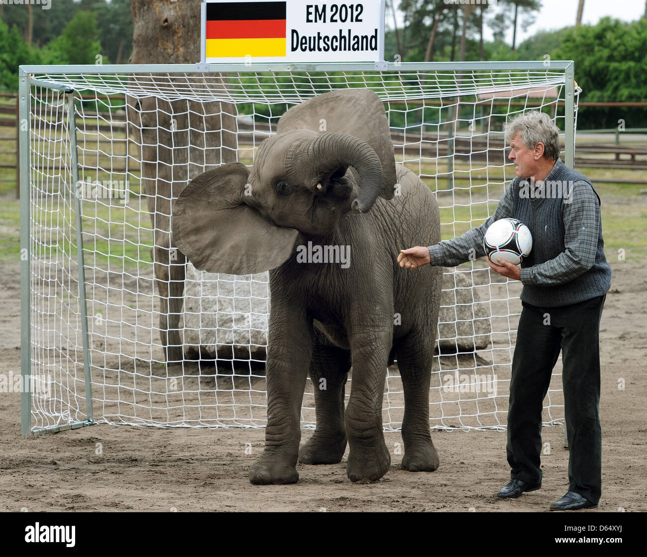 Elephant cow Nelly interacts with former German national goal keeper ...