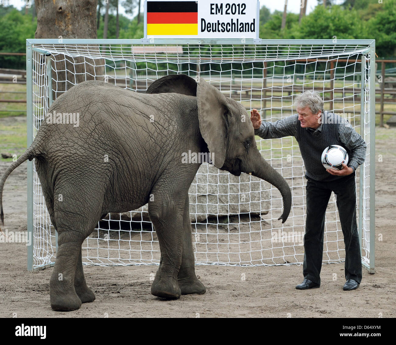Elephant cow Nelly interacts with former German national goal keeper ...