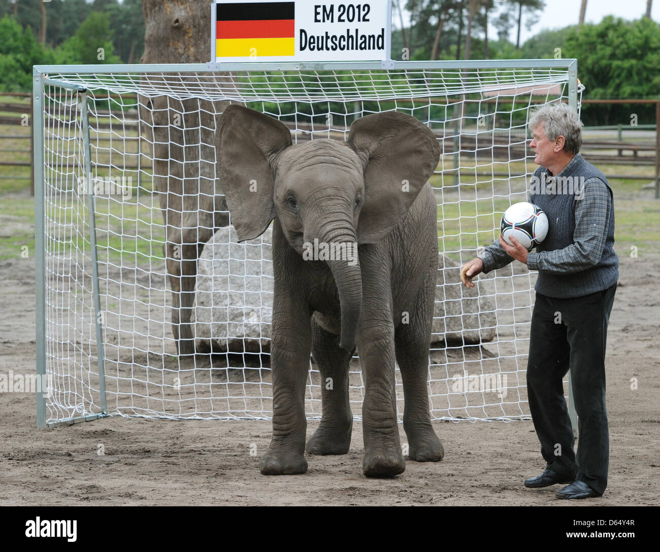 Elephant cow Nelly interacts with former German national goal keeper ...