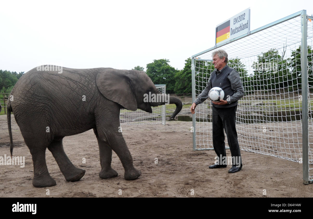 Elephant cow Nelly interacts with former German national goal keeper ...