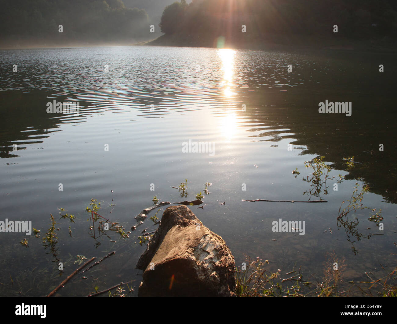 This image depicts a tree stump at the edge of a lake with reflections ...