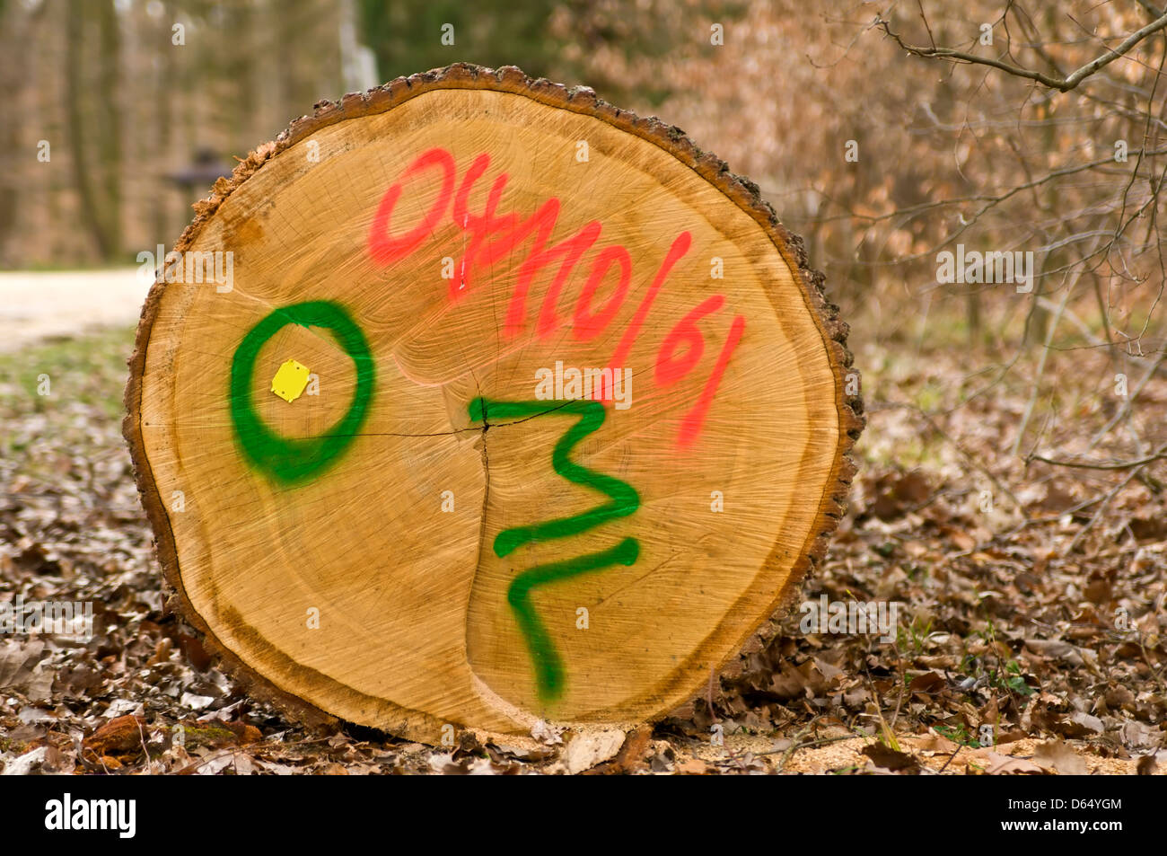 Timer frame construction hi-res stock photography and images - Alamy