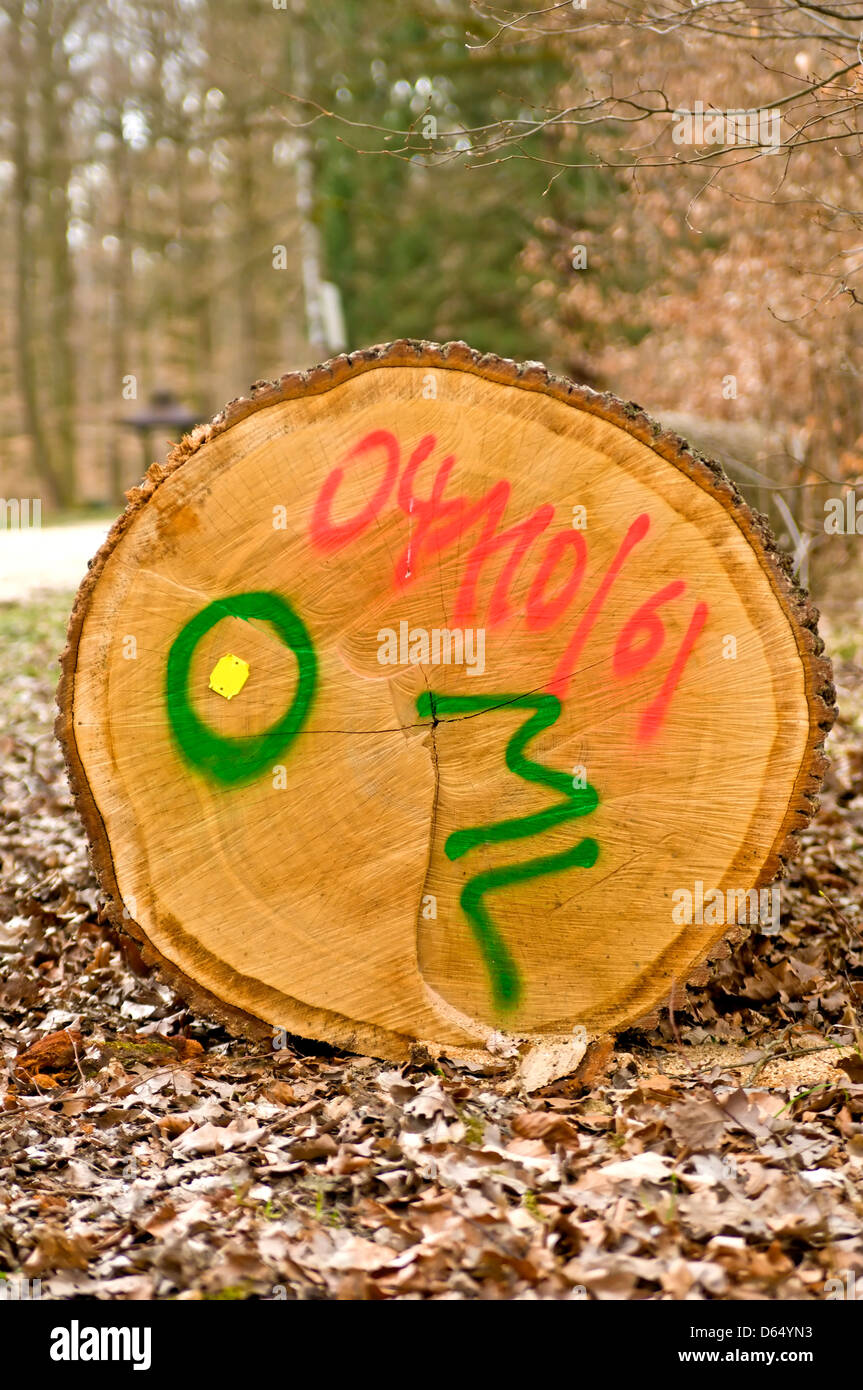 Timer frame construction hi-res stock photography and images - Alamy