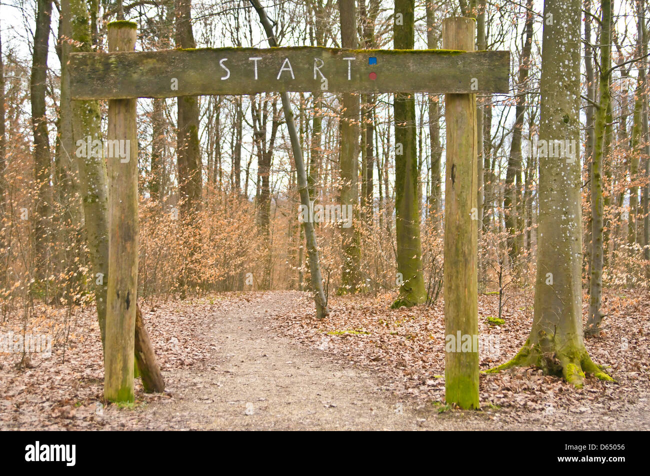 Action championship hi-res stock photography and images - Alamy