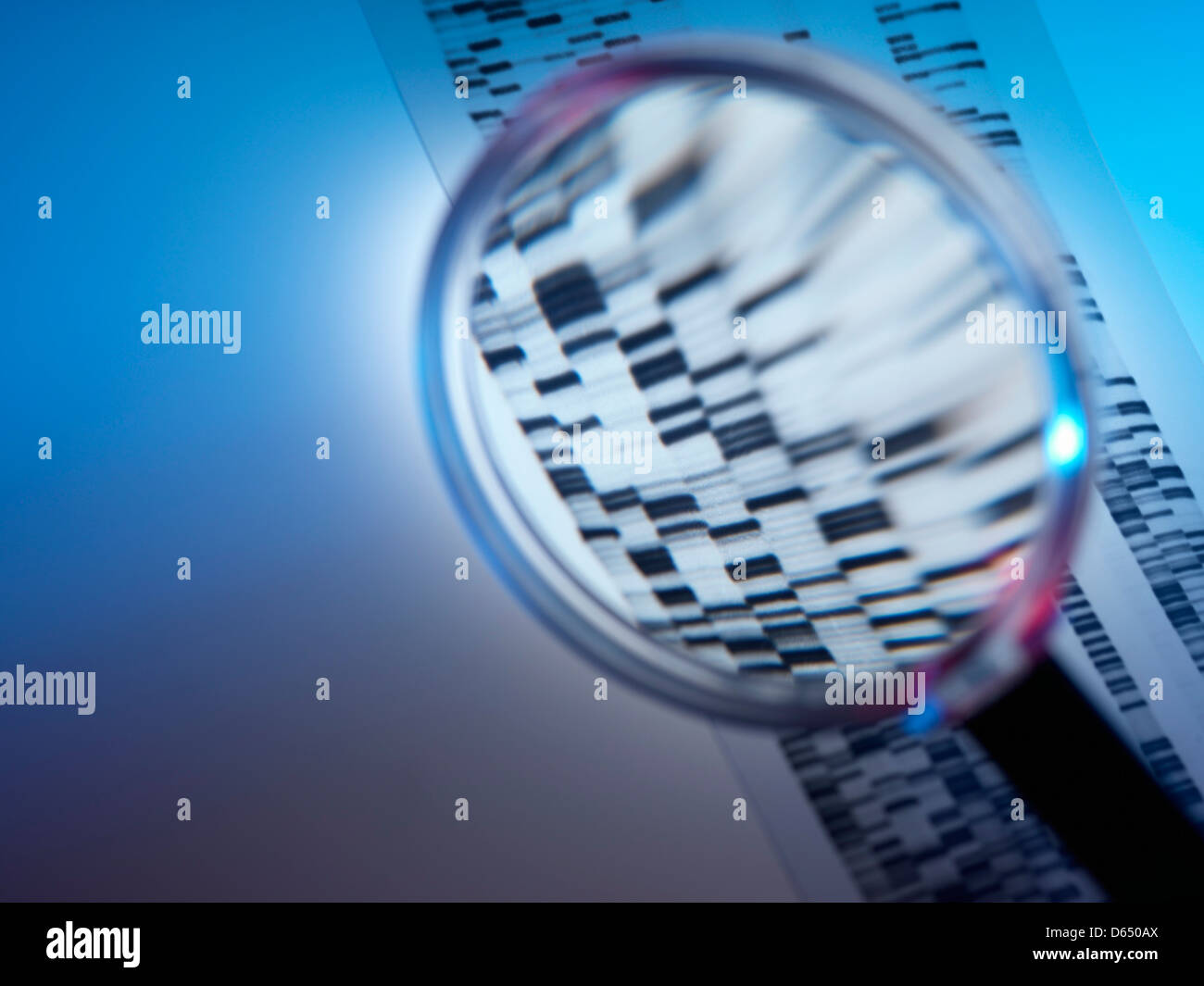 Genetic analysis hi-res stock photography and images - Alamy
