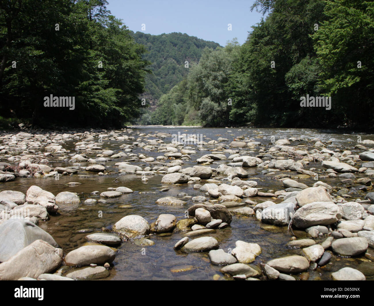 A mountain river with a gravel bed, flowing through a rocky landscape ...