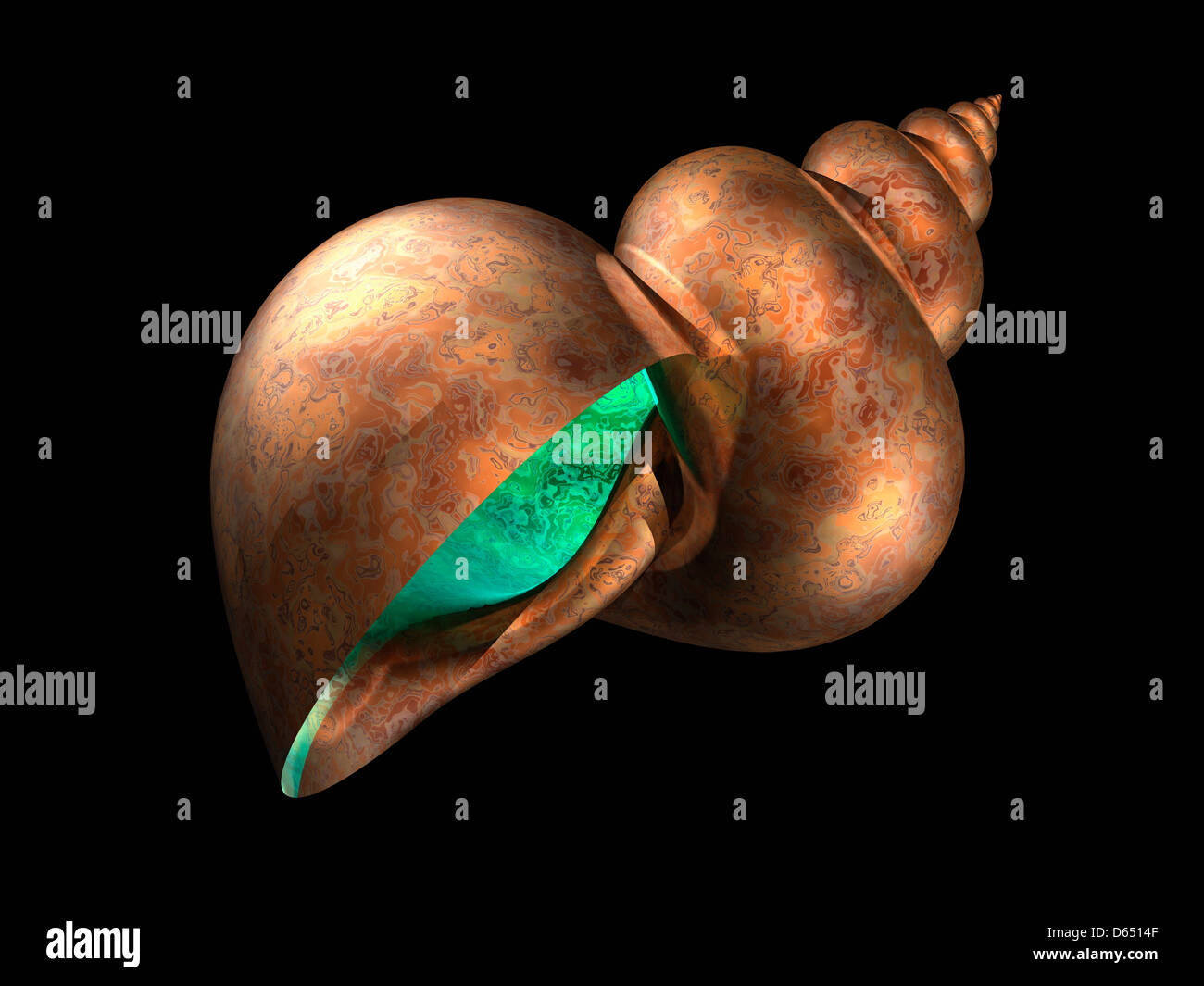 Snail shell, artwork Stock Photo - Alamy