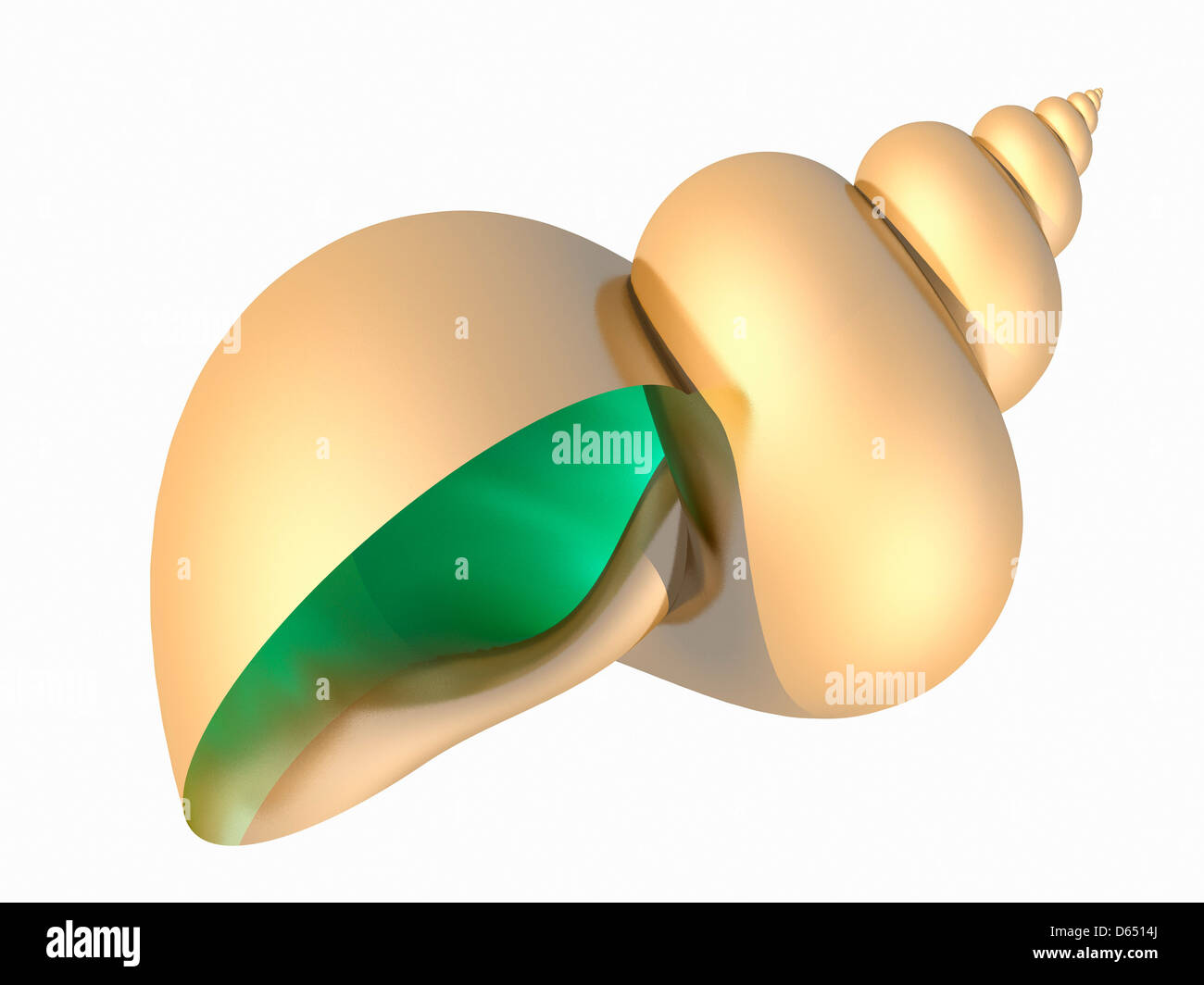 Snail shell, artwork Stock Photo - Alamy