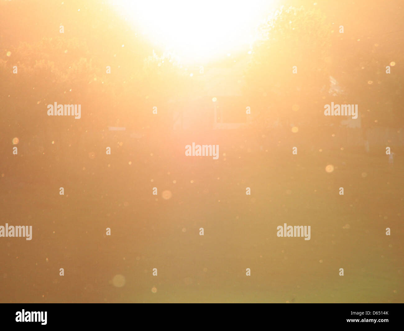 An image depicting dust particles floating in the air during sunset ...