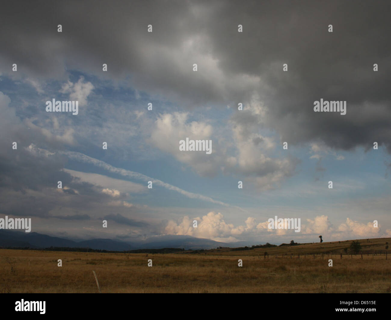 The photograph captures a vivid scene of autumn with contrasting white ...