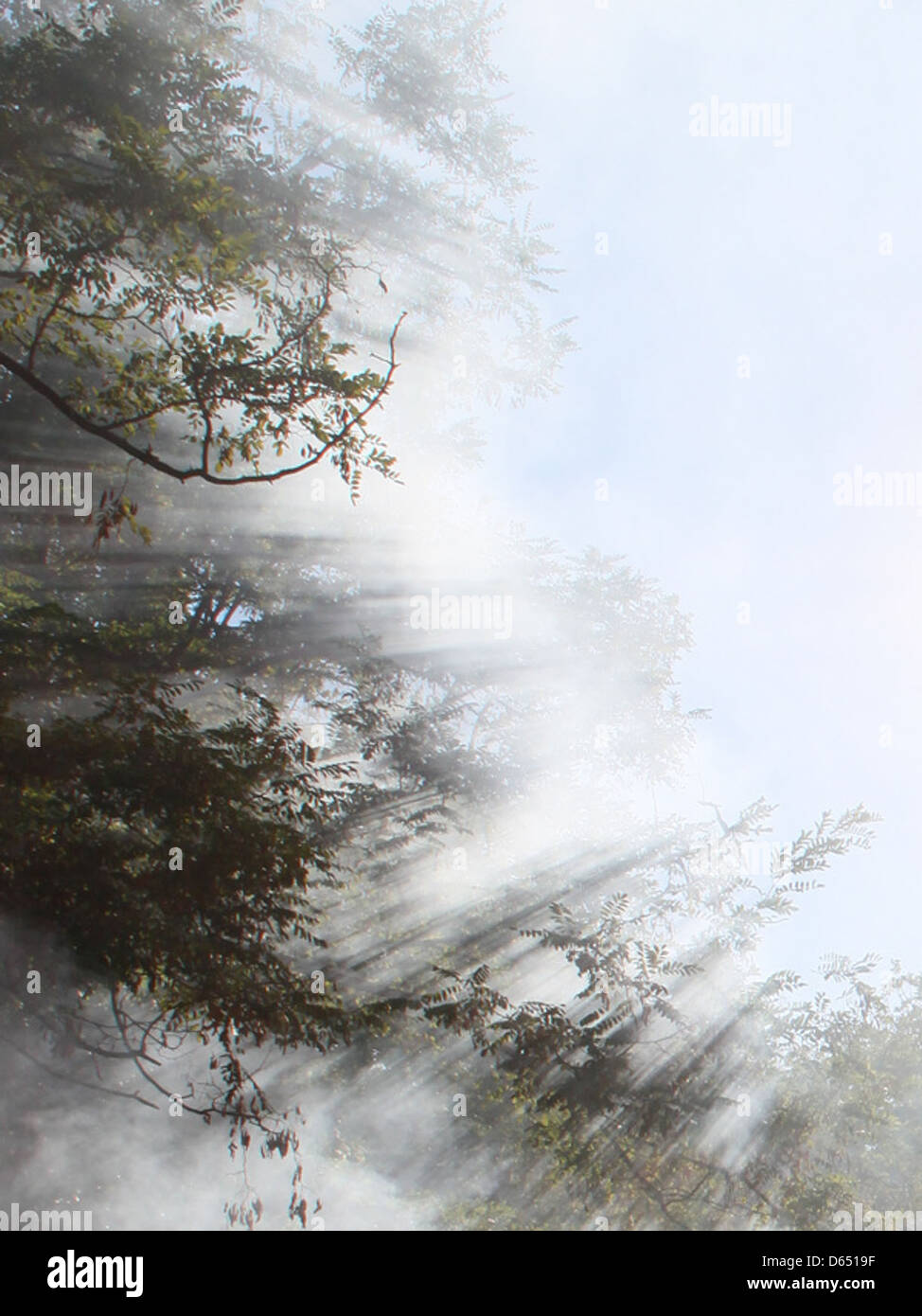 Sun shining through smoke hi-res stock photography and images - Alamy