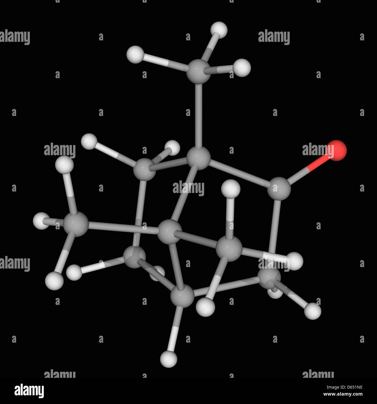Camphor molecule hi-res stock photography and images - Alamy