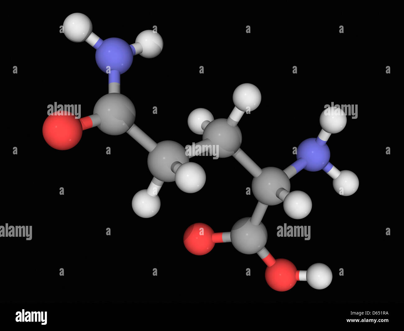 Molecular model glutamine hi-res stock photography and images - Alamy