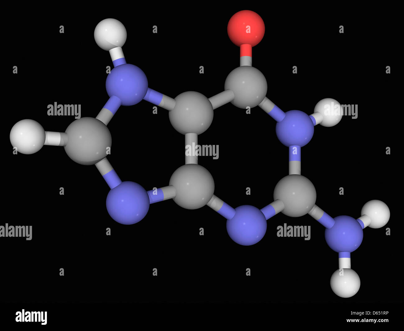 Guanine hi-res stock photography and images - Alamy