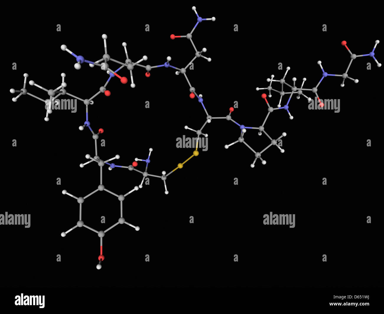 Hormone Ocytocine
