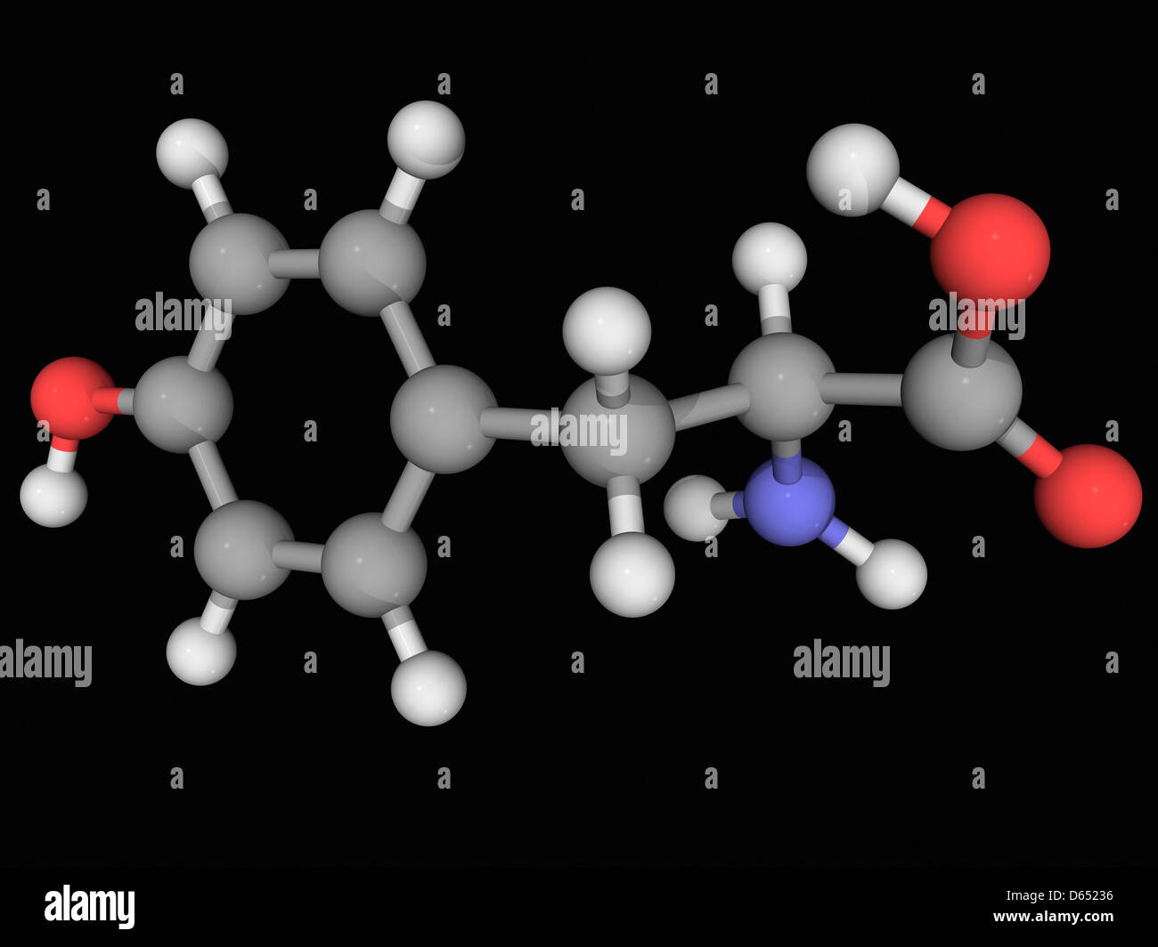 Tyrosine hi-res stock photography and images - Alamy