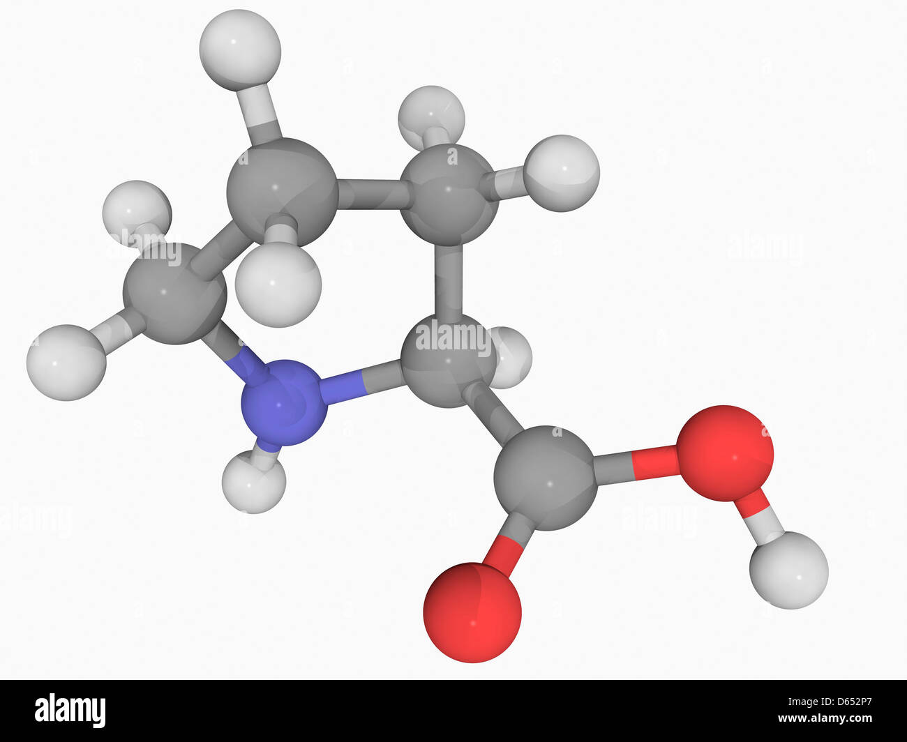 Proline hi-res stock photography and images - Alamy