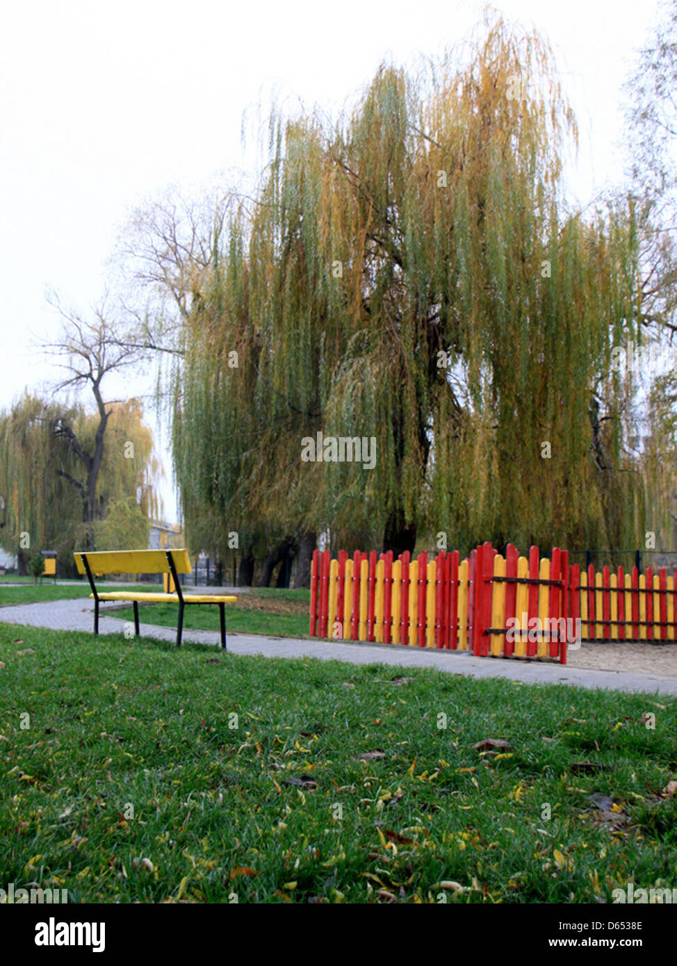 This image shows a park bench surrounded by willow trees with yellow ...