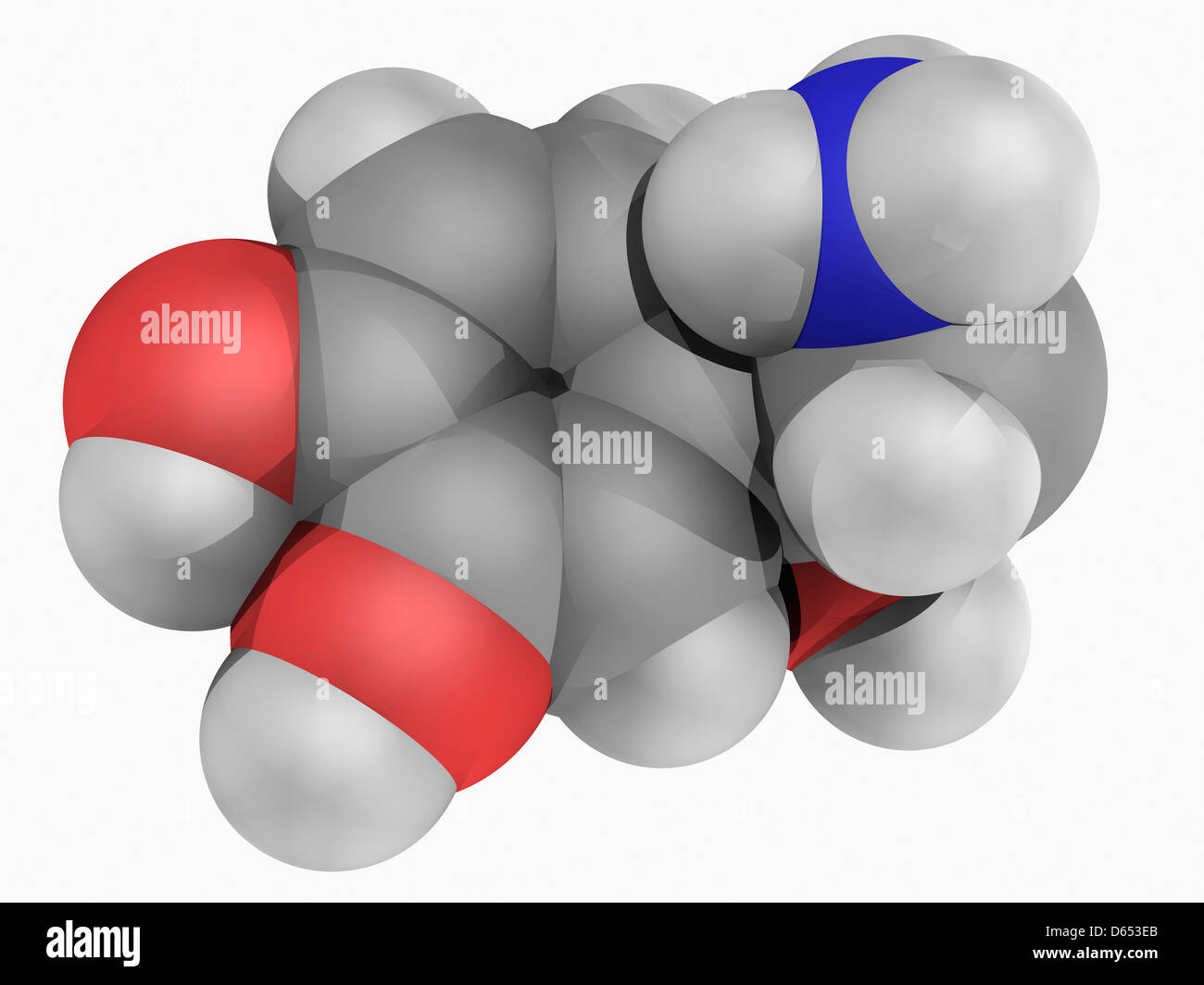 Norepinephrine hi-res stock photography and images - Alamy