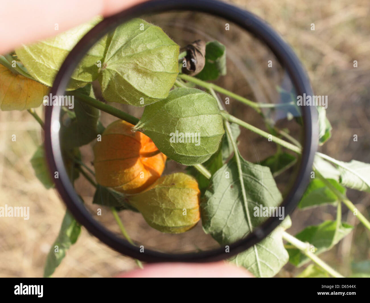 Polarizing effect hi-res stock photography and images - Alamy