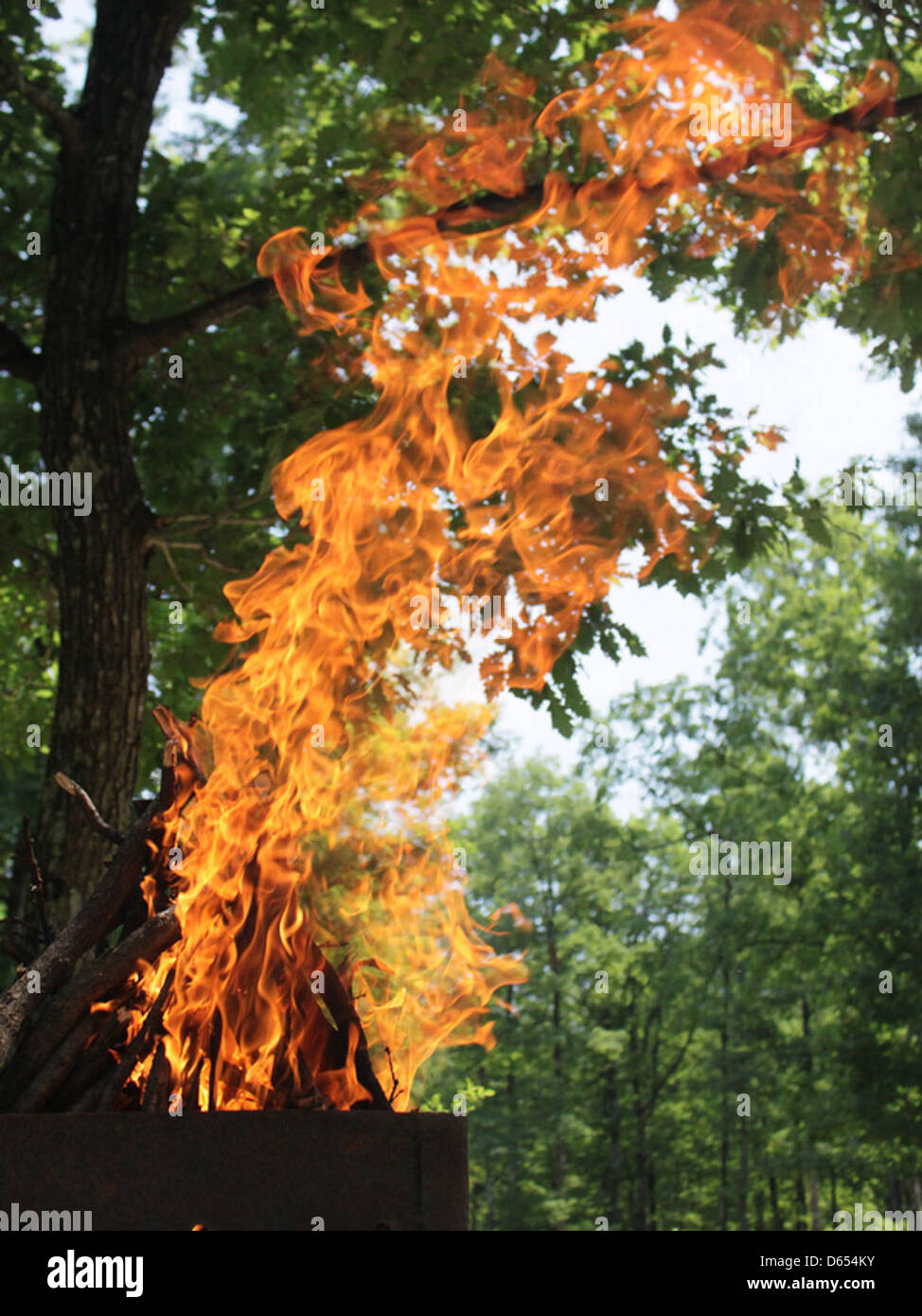 This image shows a large fire from a grill in a forest setting. The ...