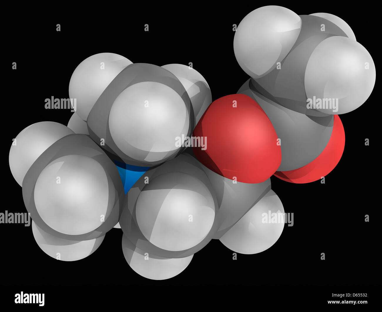 Acetylcholine hi-res stock photography and images - Alamy